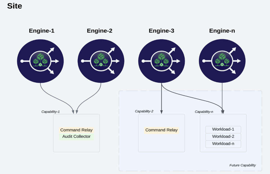 Delinea Platform Engine Management