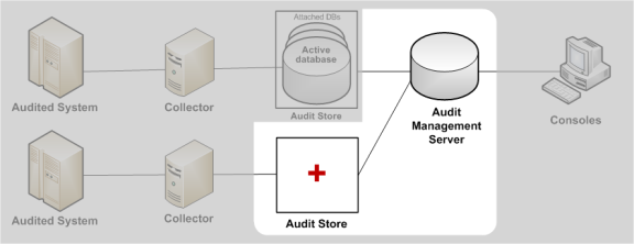 Managing Audit Stores