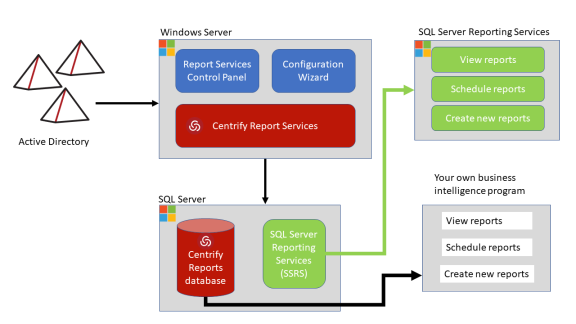 What Report Services Provides